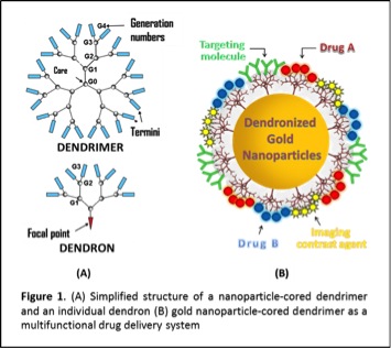 The Development of Gold Nanoparticle-Cored Dendrimers as a ...