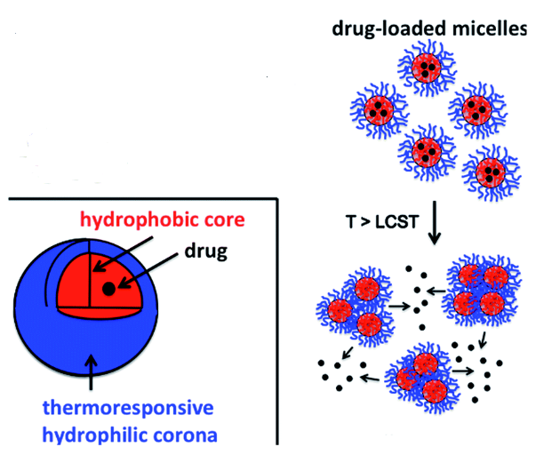 People, Polymers and Drugs – UMBC NSF Research Experience for ...