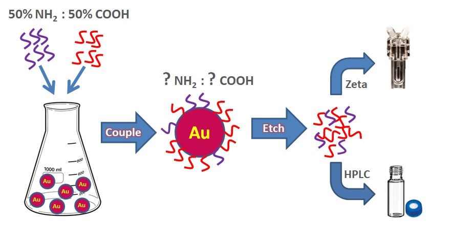 Relative Adsorption of Amine and Carboxylate-Terminated Dendrons to ...
