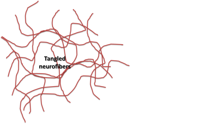 Monitoring Dephosphorylation in Cells for Alzheimer’s Disease – NSF ...
