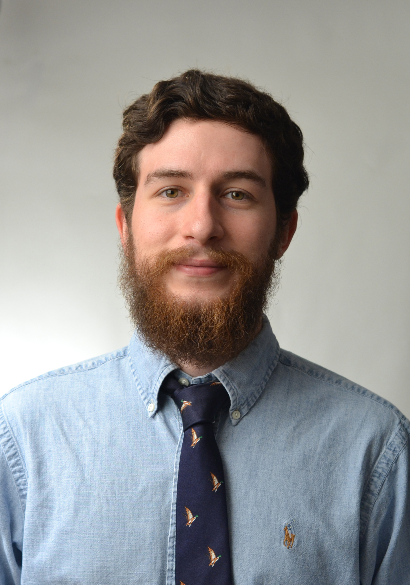 Leopold Posada – NSF Research Experience for Undergraduate Students In ...
